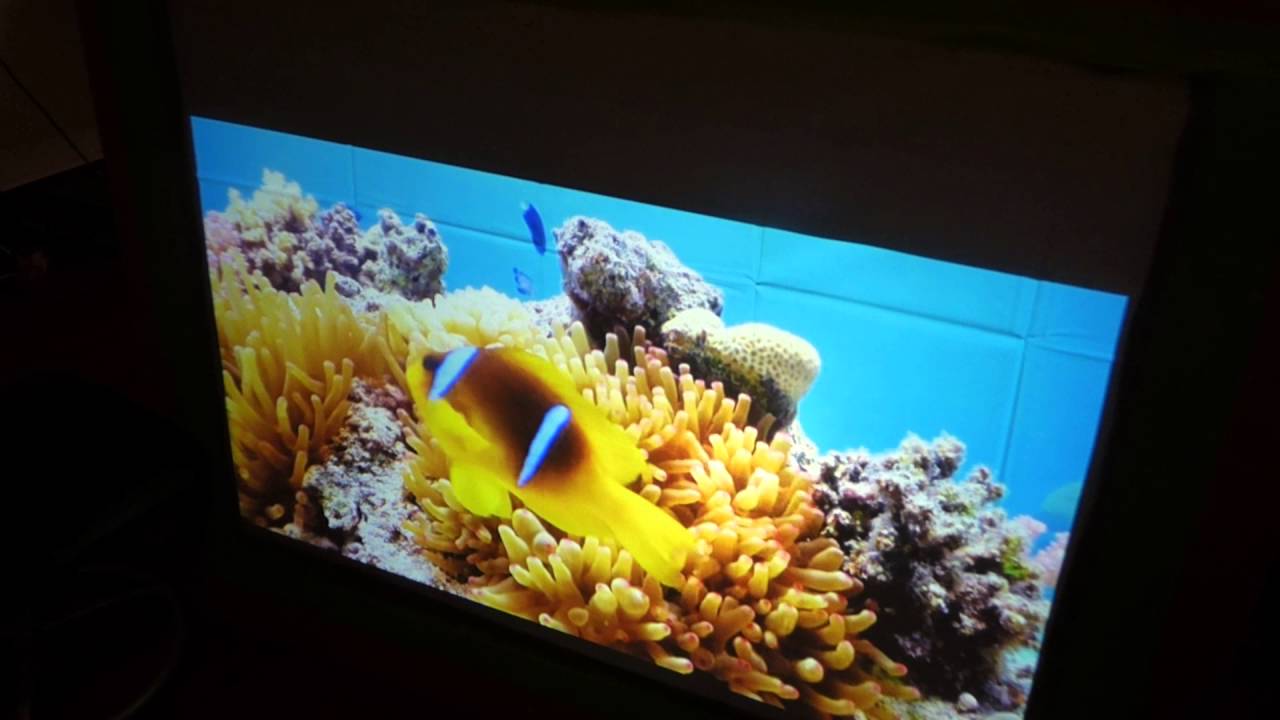 BUILD YOUR OWN HDTV LOOKING REAR PROJECTOR SCREEN! - YouTube