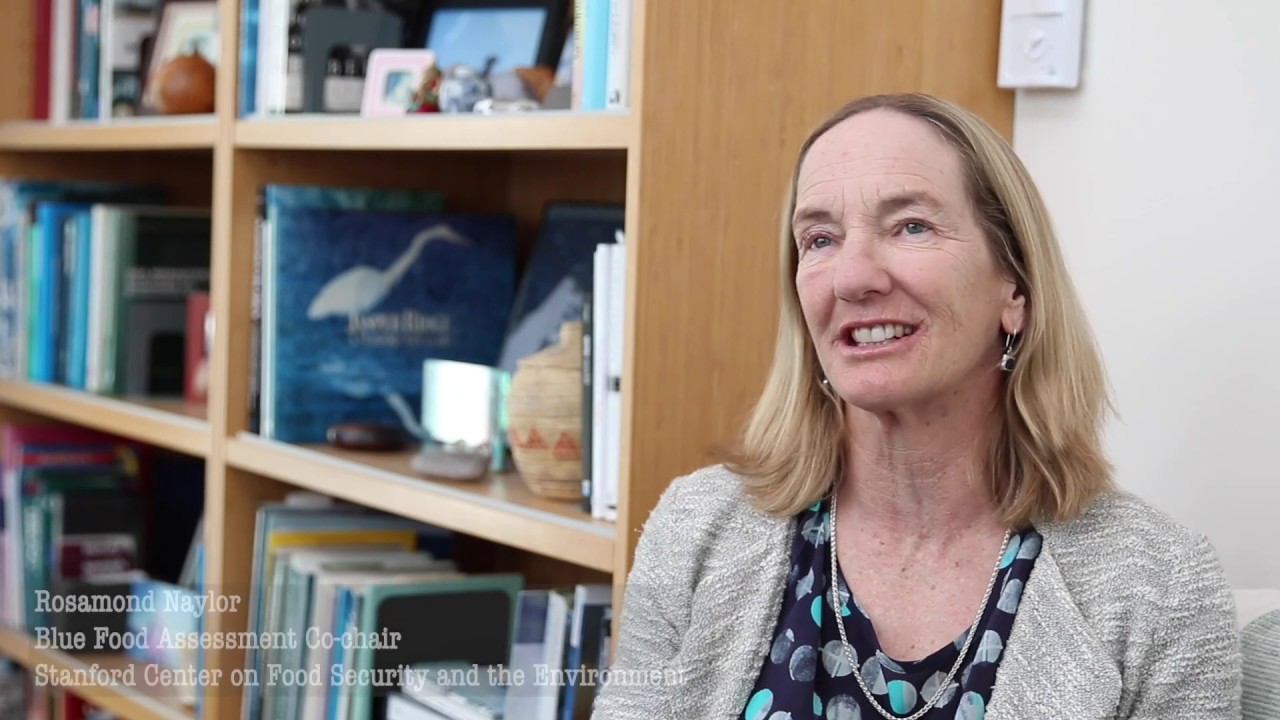 What is the Blue Food Assessment? - YouTube