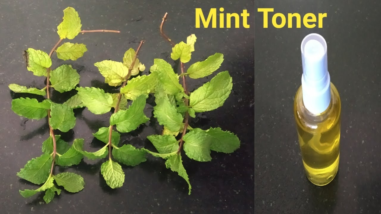How to make Mint Toner at Home | DIY Refreshing Mint Face Mist for Oily ...