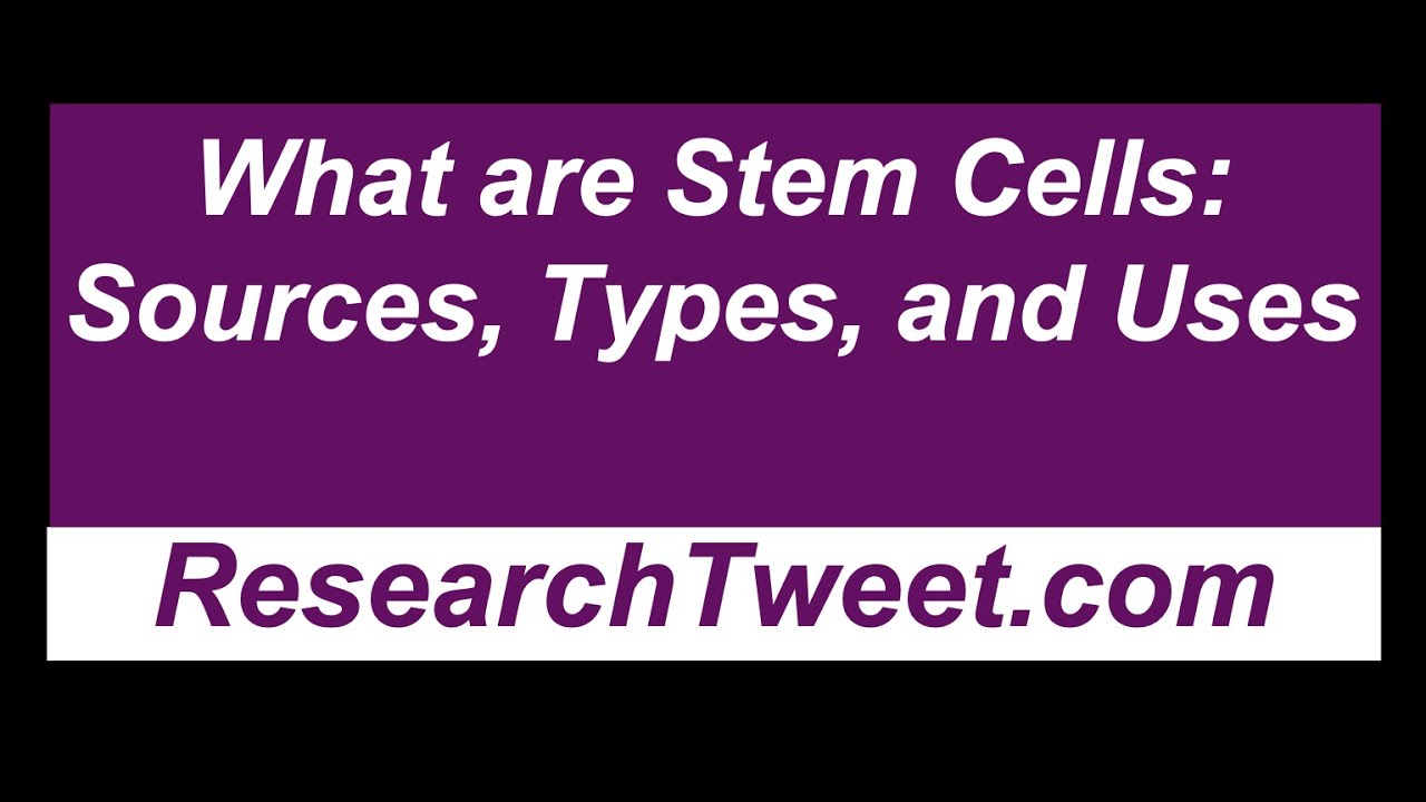 What are Stem Cells: Sources, Types, and Uses - YouTube
