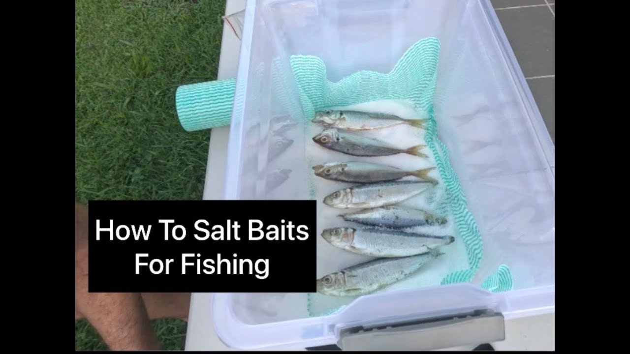 How To Salt Baits For Fishing - YouTube