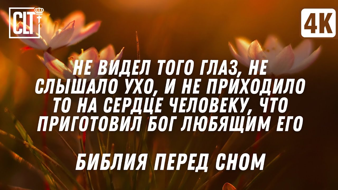Не можешь уснуть Слушай Божье Слово перед сном Летнее озеро Дождь