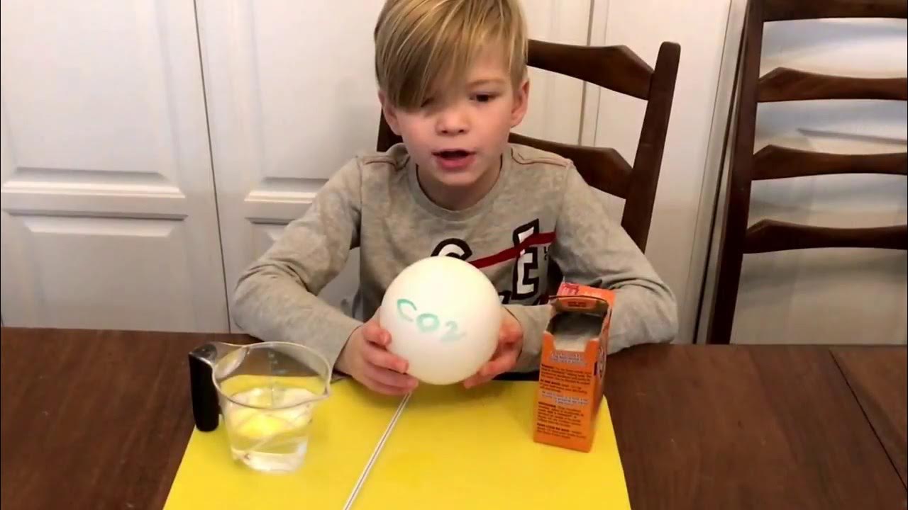 CO2 Balloon! Carbon Dioxide Science Experiments for Kids - YouTube