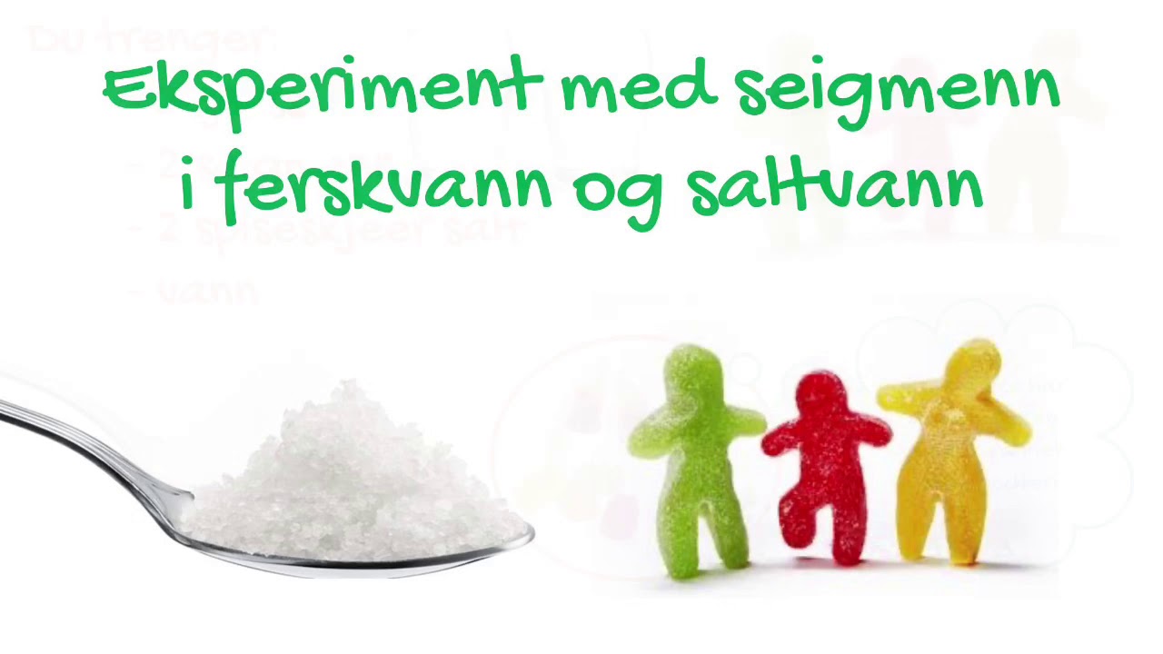 Eksperiment med seigmenn i ferskvann og saltvann - YouTube