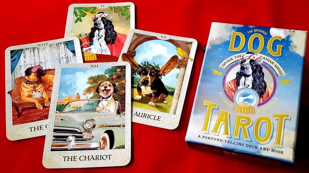 THE ORIGINAL DOG TAROT - ANALISIS REVIEW 85 - YouTube