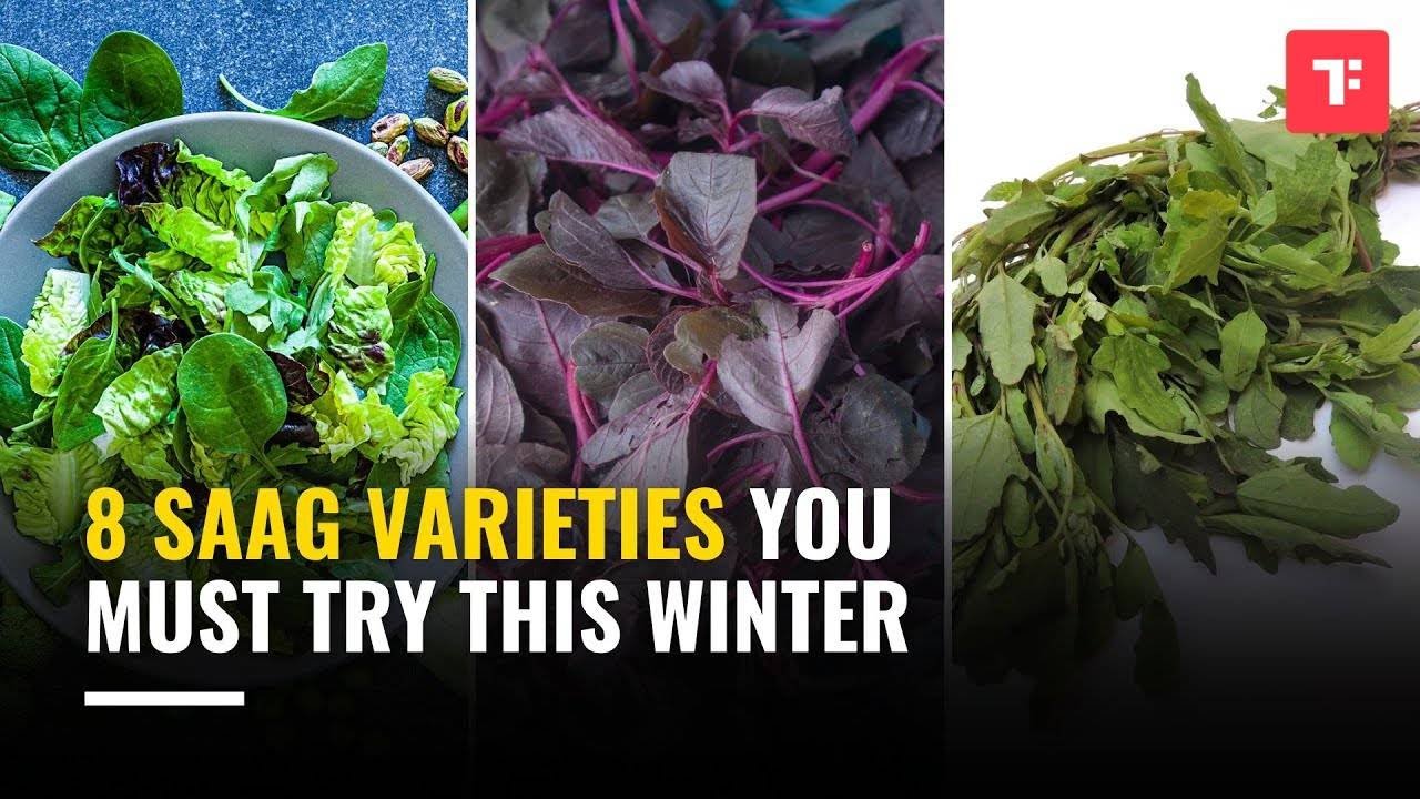 8 must-try Saag varieties from across India - YouTube