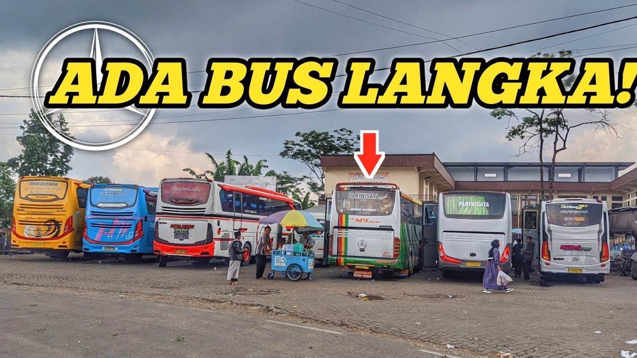 BUS LANGKA DI PARKIRAN WISATA ZIARAH PANJALU | PARKIRAN RAMAI BULAN ...