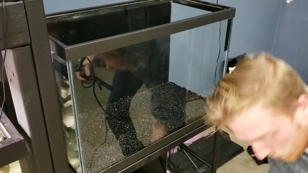 The Mary W 20 Gallon Aquarium pt 1 - YouTube