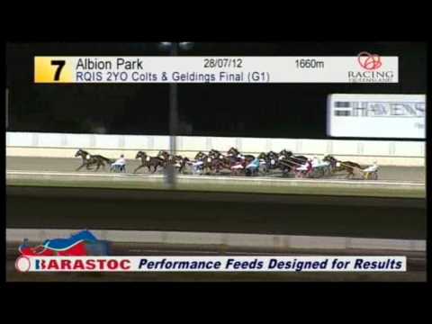 Albion Park Harness Racing Race 7 RQIS 2YR Colts and Geldings Finals 28 ...