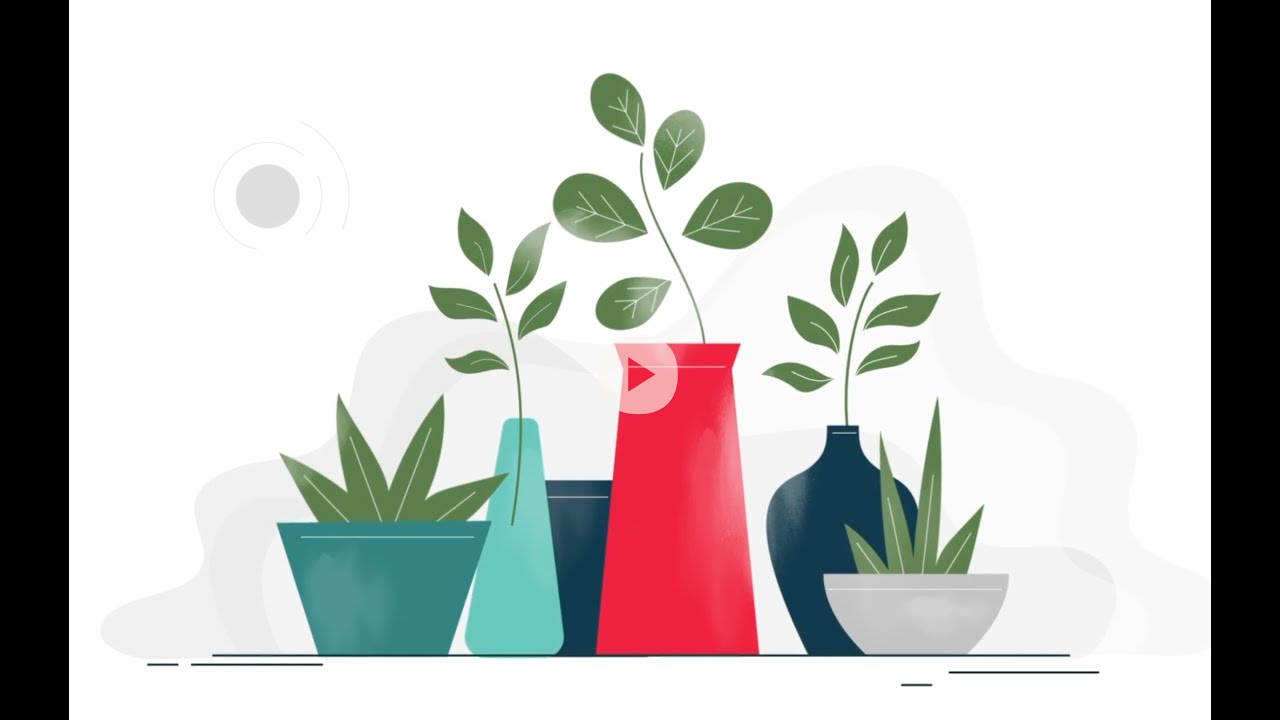 Freshly Cooked Motion Design + Animation Sizzle Reel - YouTube