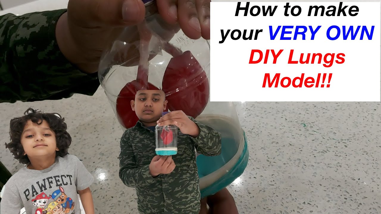 DIY Lungs Model! Science For Kids!! [Malayalam] - YouTube