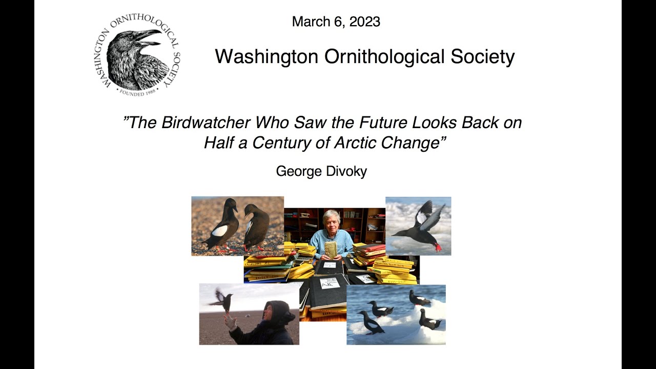George Divoky, PhD "The Birdwatcher Who Saw the Future - Arctic Change ...