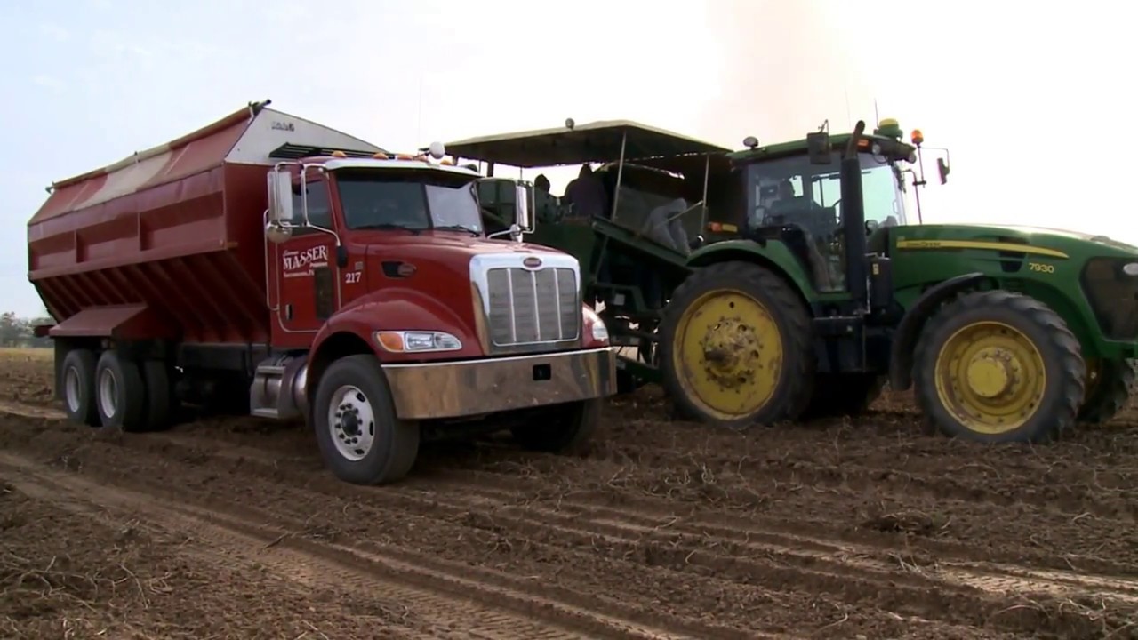 Dave Masser - Masser Potatoes - YouTube