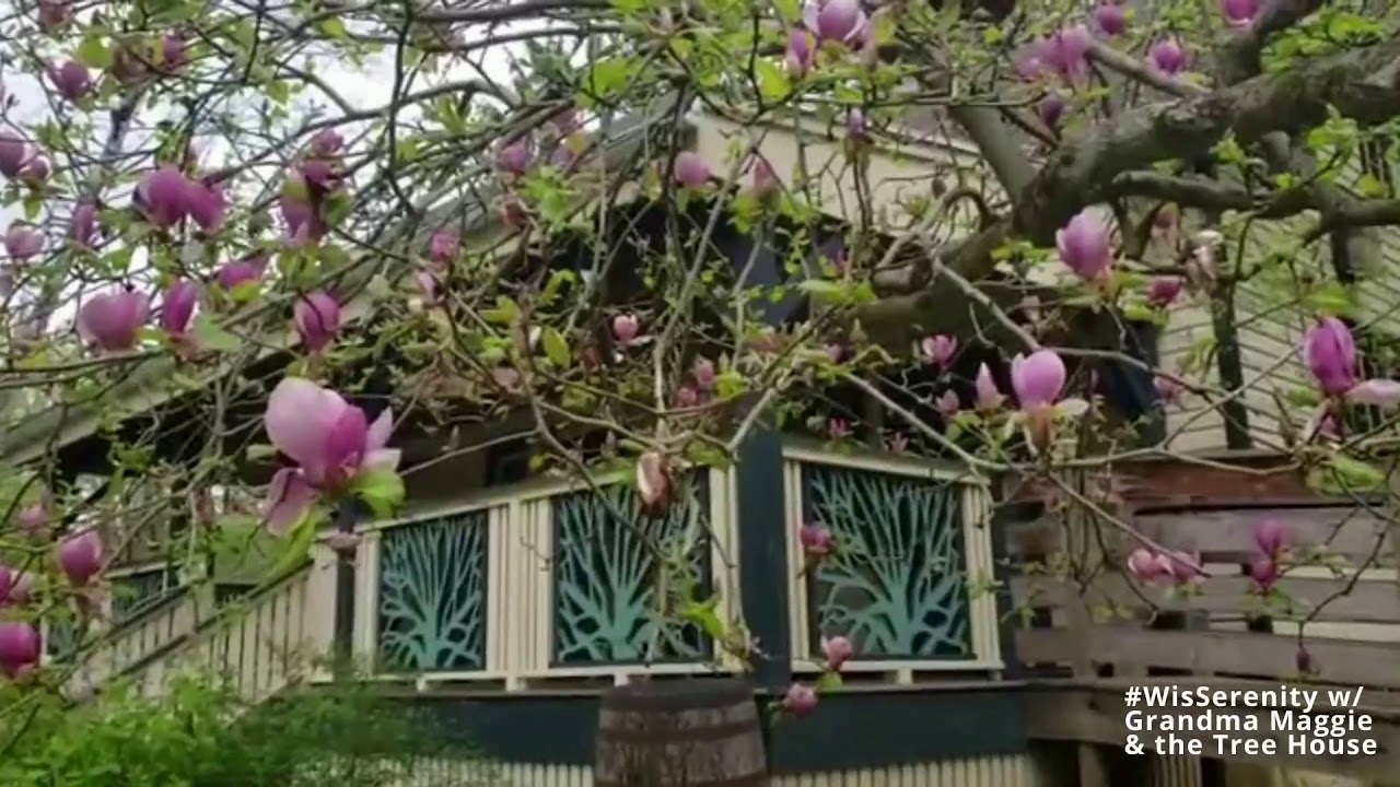 WisSerenity with Grandma Maggie & the Tree House - YouTube
