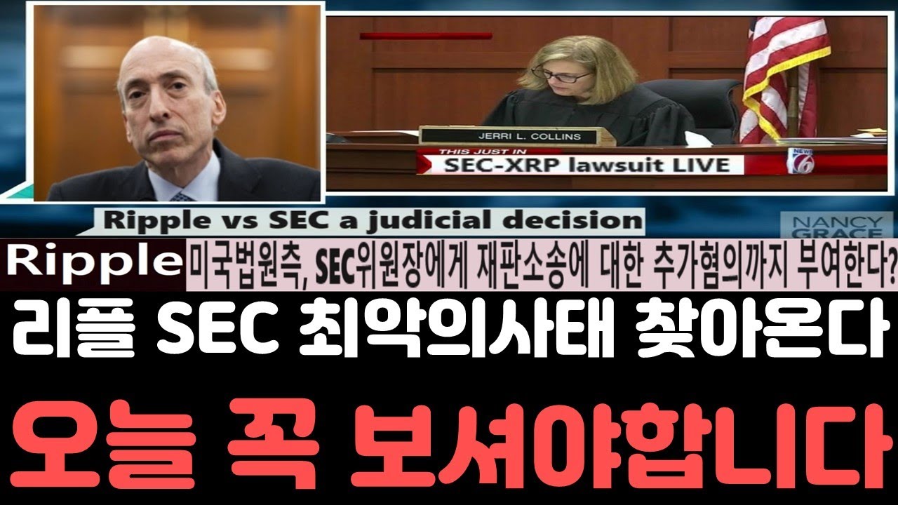리플전망 리플 Sec위원장의 말을 단칼에 거절한 판사 결국 사태가 심각하다 설마 오늘 영상은 꼭 보셔야합니다 리플전망 리플호재 리플급등 리플코인 리플소송
