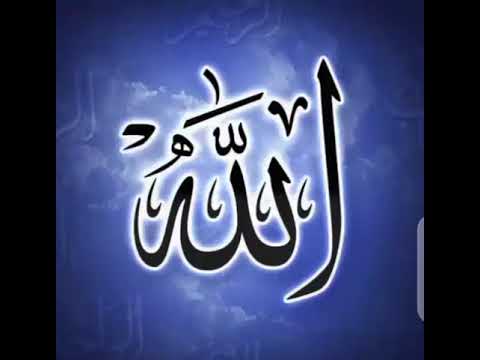 Allah name status ♥️#allah 