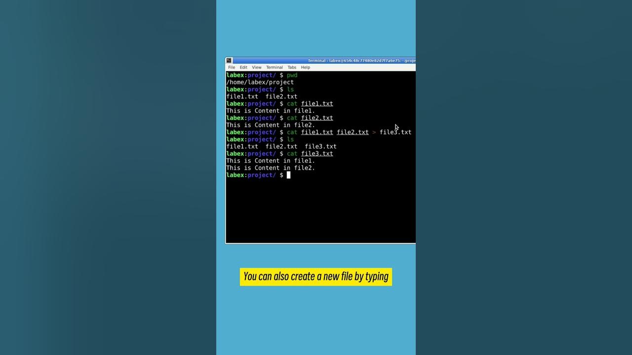 Practice Linux Commands 06 Cat Commandline Linux Linuxcommands