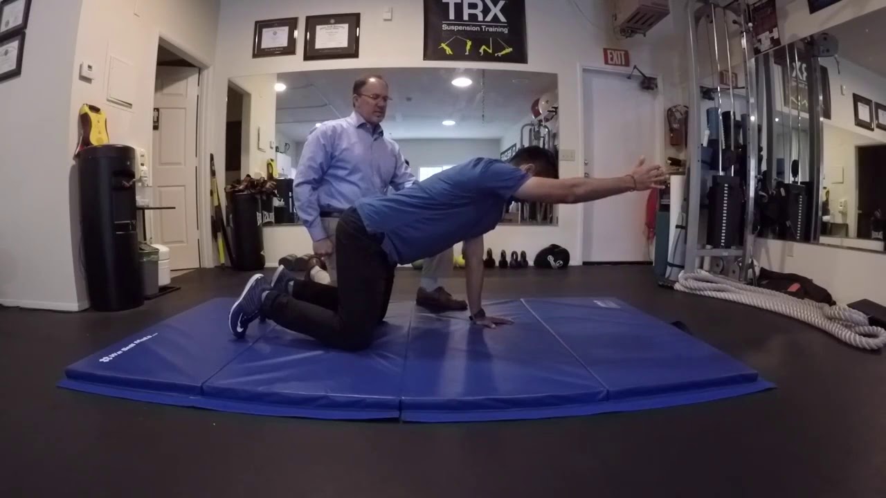 Upper Extremity Bird Dog - YouTube