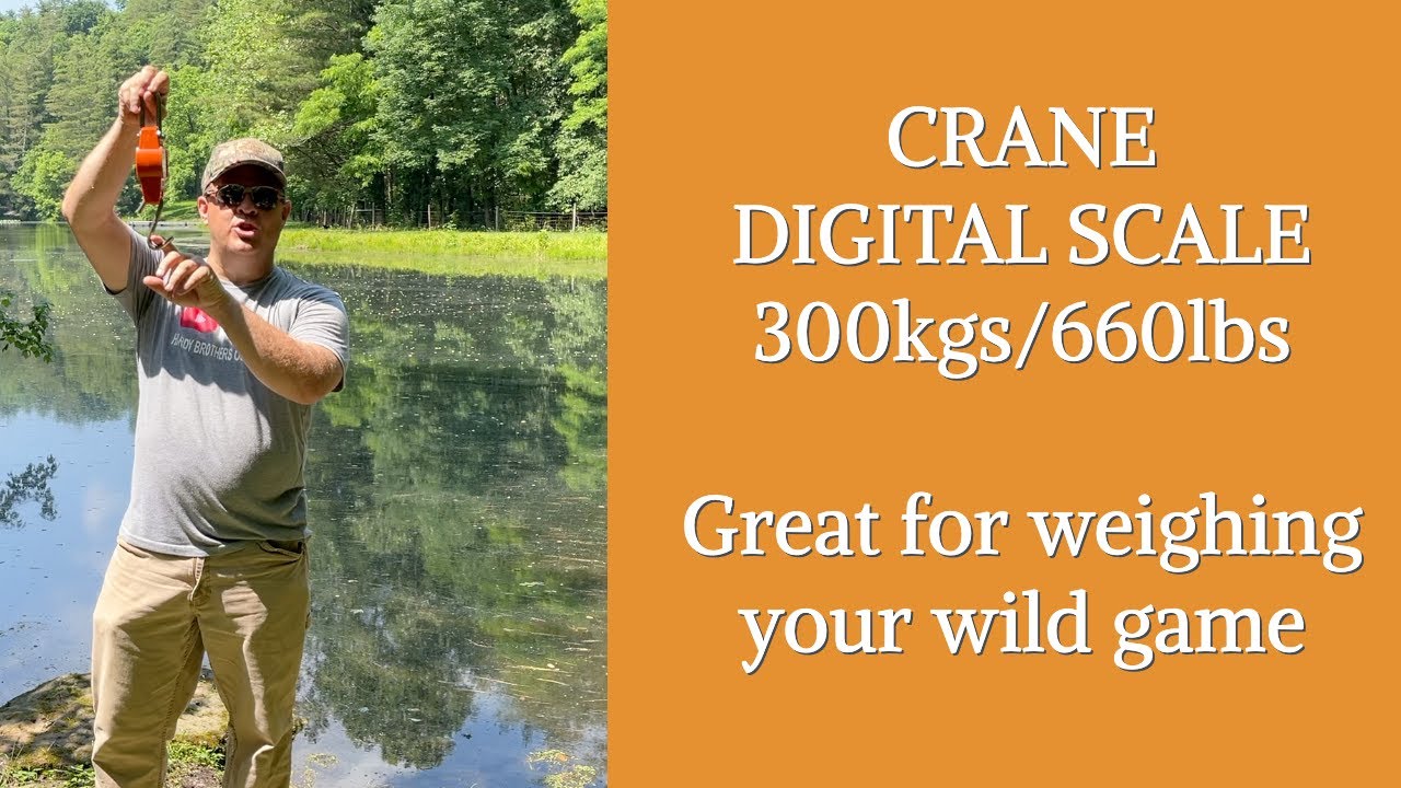 REVIEW Outmate Mini Digital Crane Scale 300kg 600lbs with LED for ...