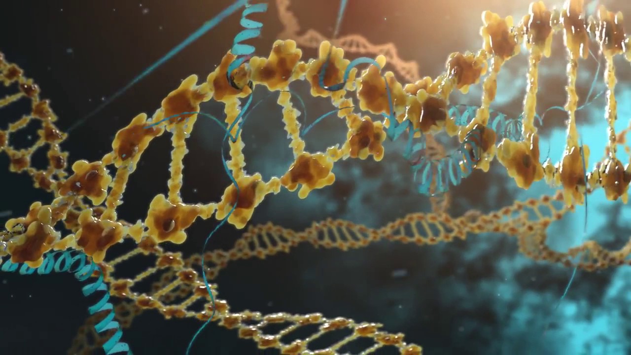 LifeVantage | Protandim Nrf2 Synergizer - YouTube