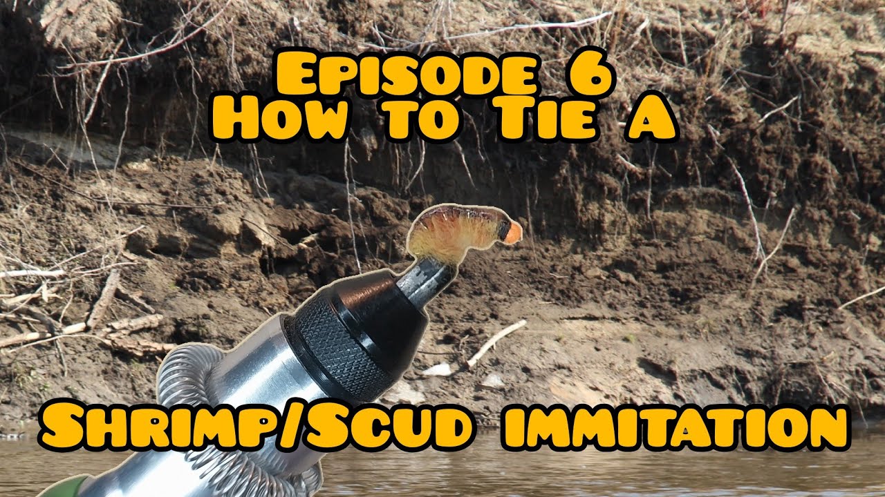 Episode 6 Fly Tying Fridays How To Tie A Shrimp Scud Immitation - YouTube
