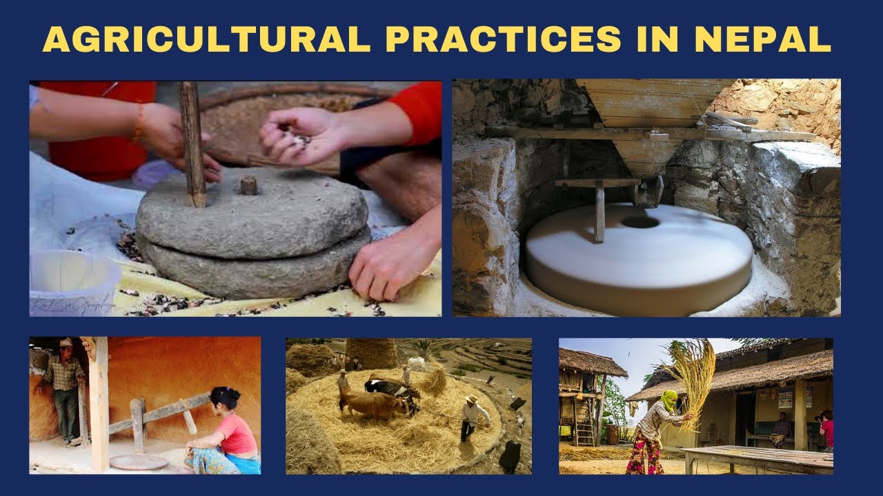 Agricultural Practices in Nepal। Traditional Agriculture। Development ...