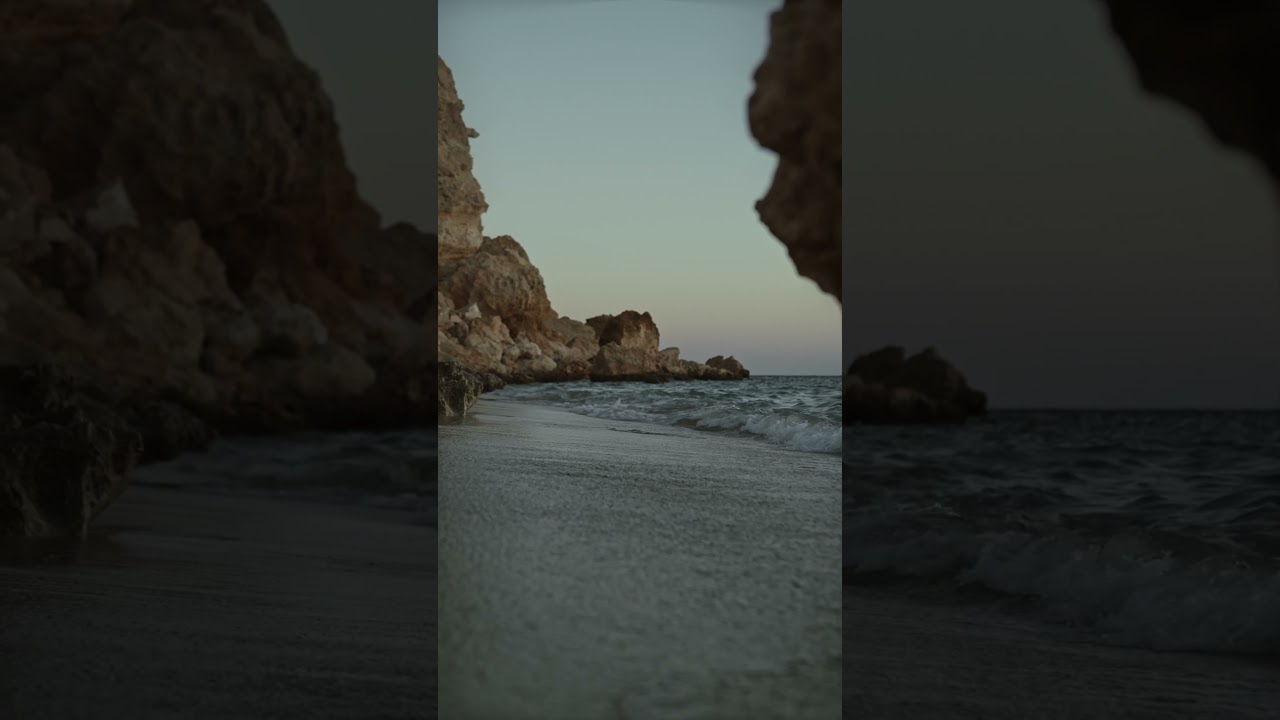 Money Tree Mantra | Ching Ching Ching Goes The Money Tree #shorts - YouTube