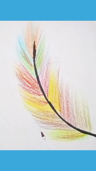 How to draw feathers on a bird | Birds with long tail feathers | @Baby ...