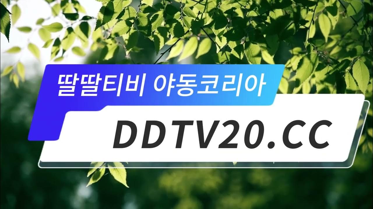 야스 새주소 우회주소 Youtube
