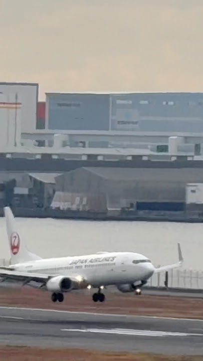 JAL JA317J B737-846 from Nankoku #japan #tokyo #love #airport #airplane #haneda #landing #runway ...