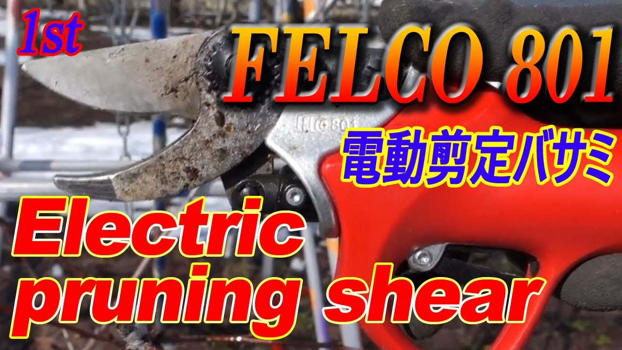FELCO 801 Electric pruning shear - YouTube