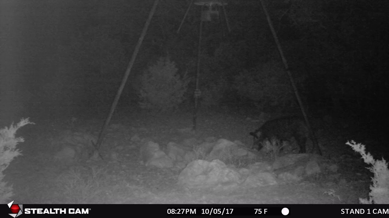 Stealth Cam in video mode, captured in San Saba Texas - YouTube