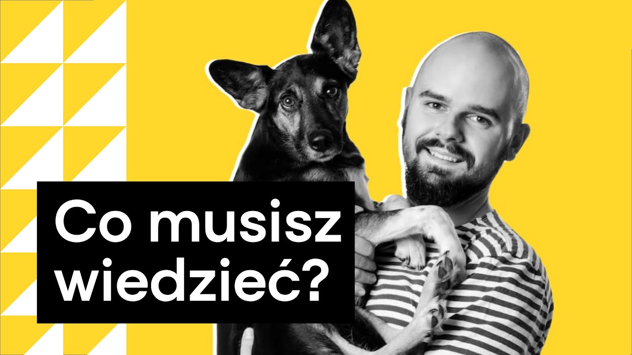 Pytania rekrutacyjne dla Junior Frontend Developera ⌨️ hello roman #47 - YouTube