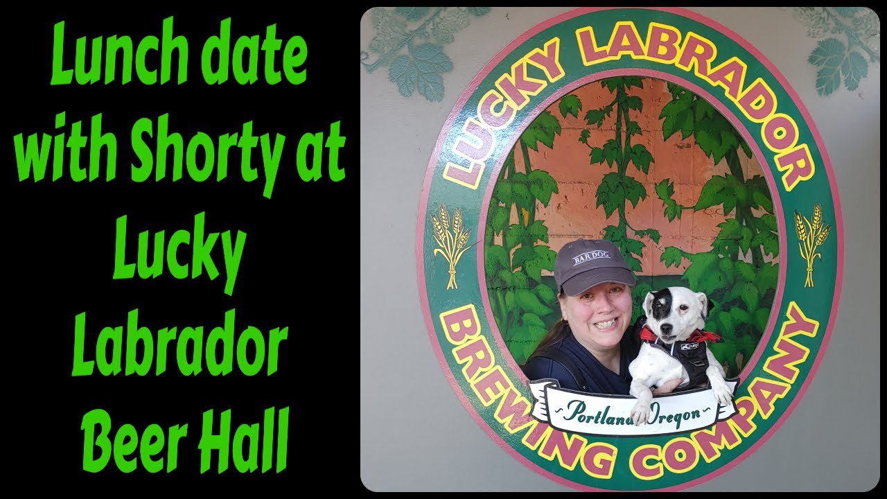 Lunch date with Shorty at Lucky Labrador Beer Hall - YouTube