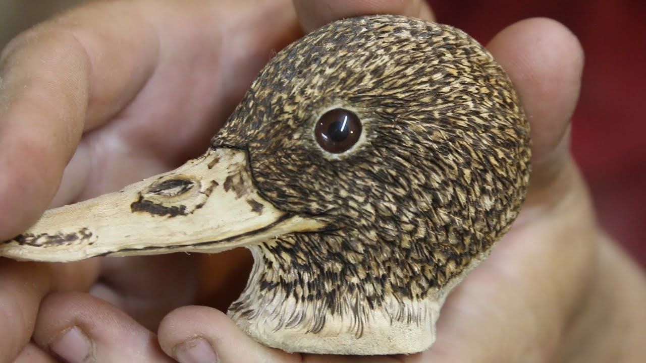 Wood Carving Green Wing Teal Head Part 1 - YouTube