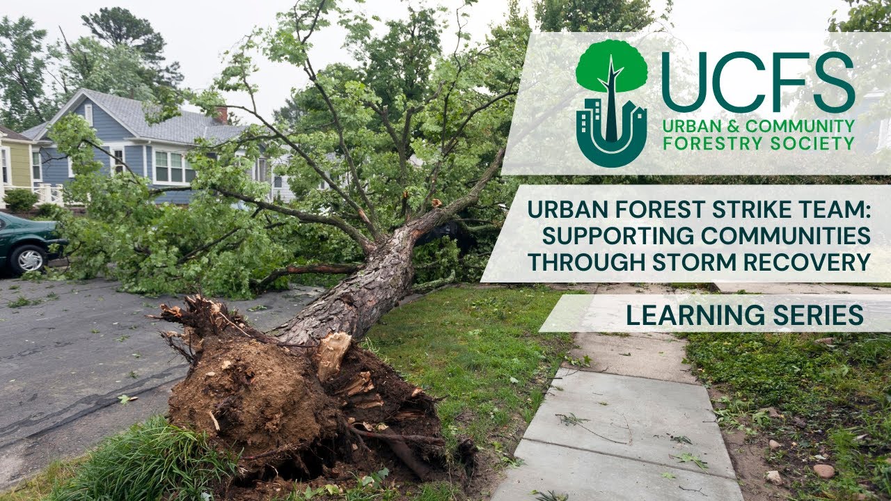 Urban Forest Strike Team: Supporting Communities through Storm Recovery ...