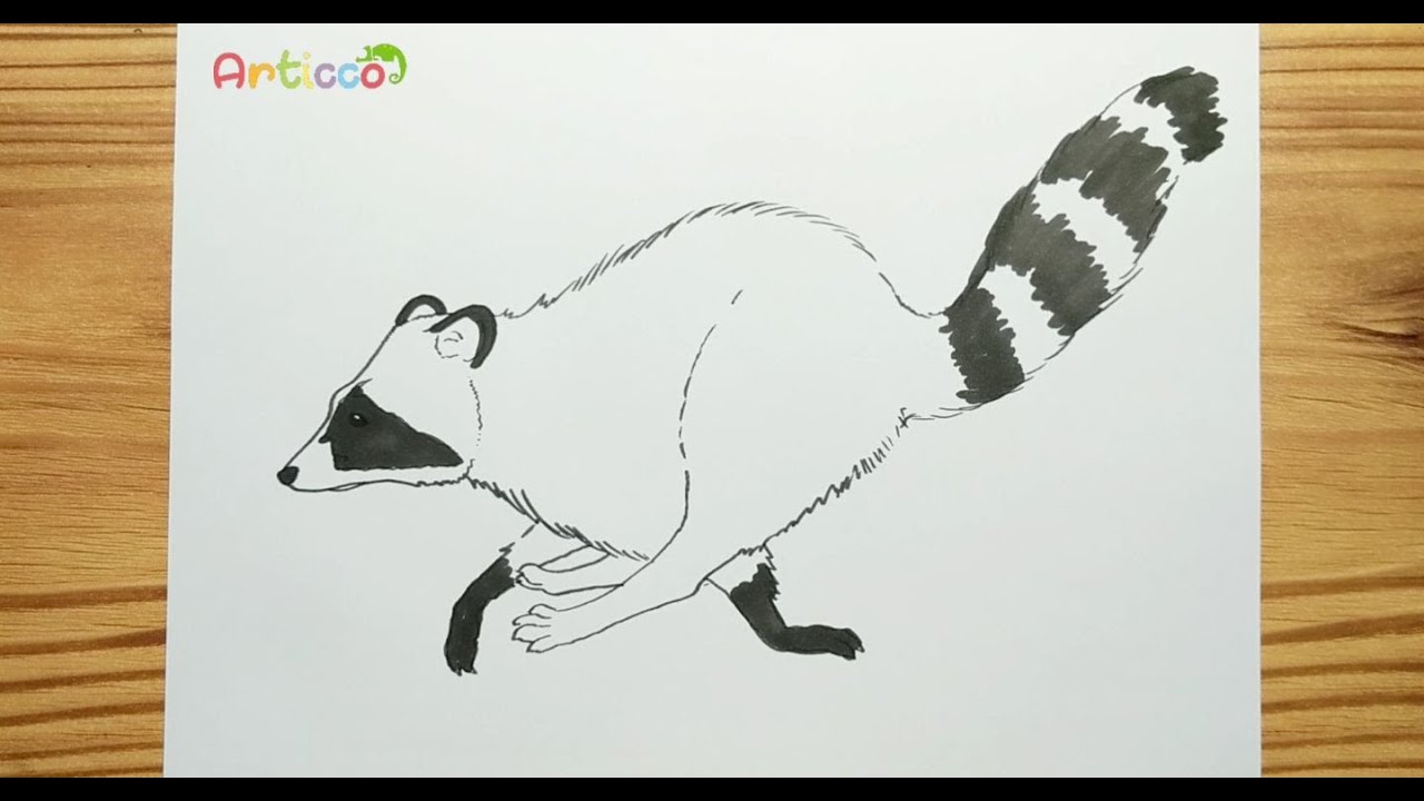 HOW TO DRAWING RACOON RUNNING - YouTube