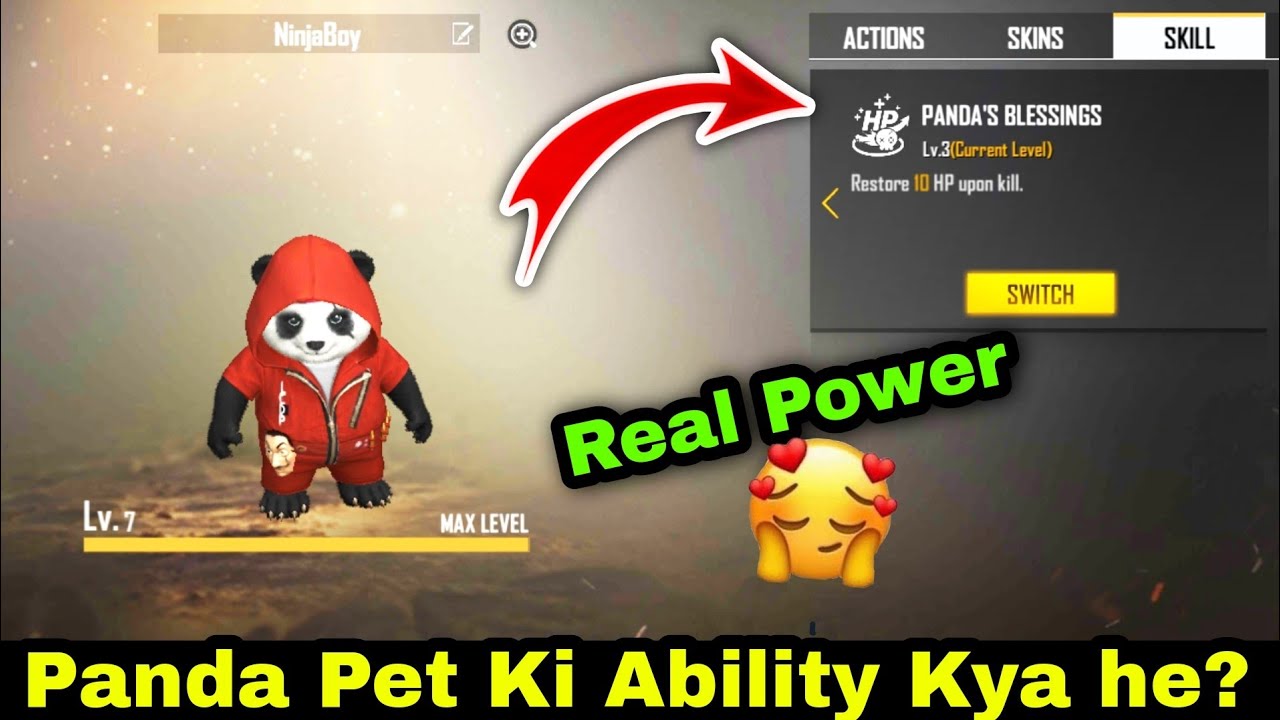 Free Fire Panda Pet Ability Test | Free Fire Panda Pet Ability | Panda ...
