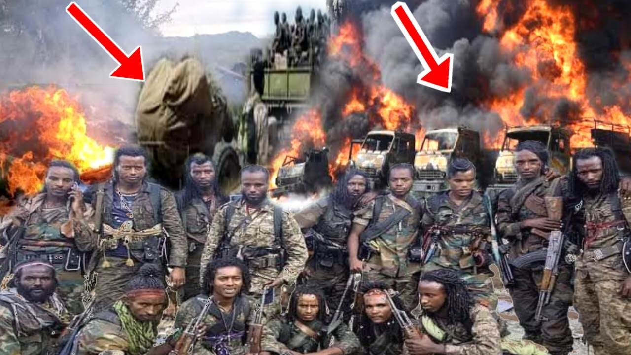 ODUU AMMEE INJIFANNOO Fi Tarkaanfii WBO'n PP Fi Fanoo Irratti fudhate ...