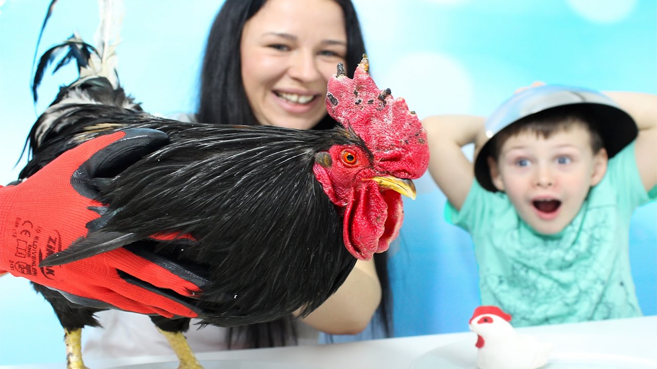 Gerçek yemek Jelibon yemeğe karşı HOROZ Rooster Gummy vs real food ...