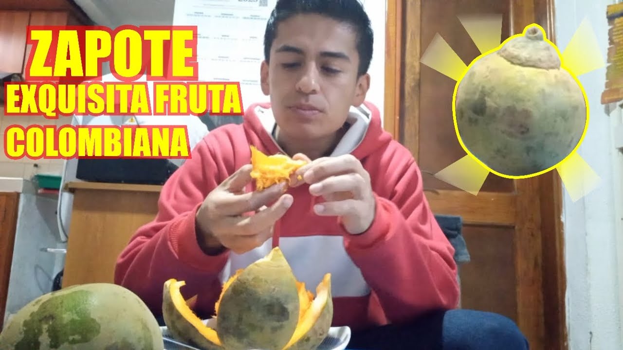 Zapote Frutas exóticas en Colombia - YouTube