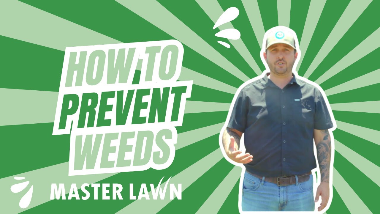 How to Prevent Weeds in the Midsouth: Expert Tips for a Weed-Free Lawn ...