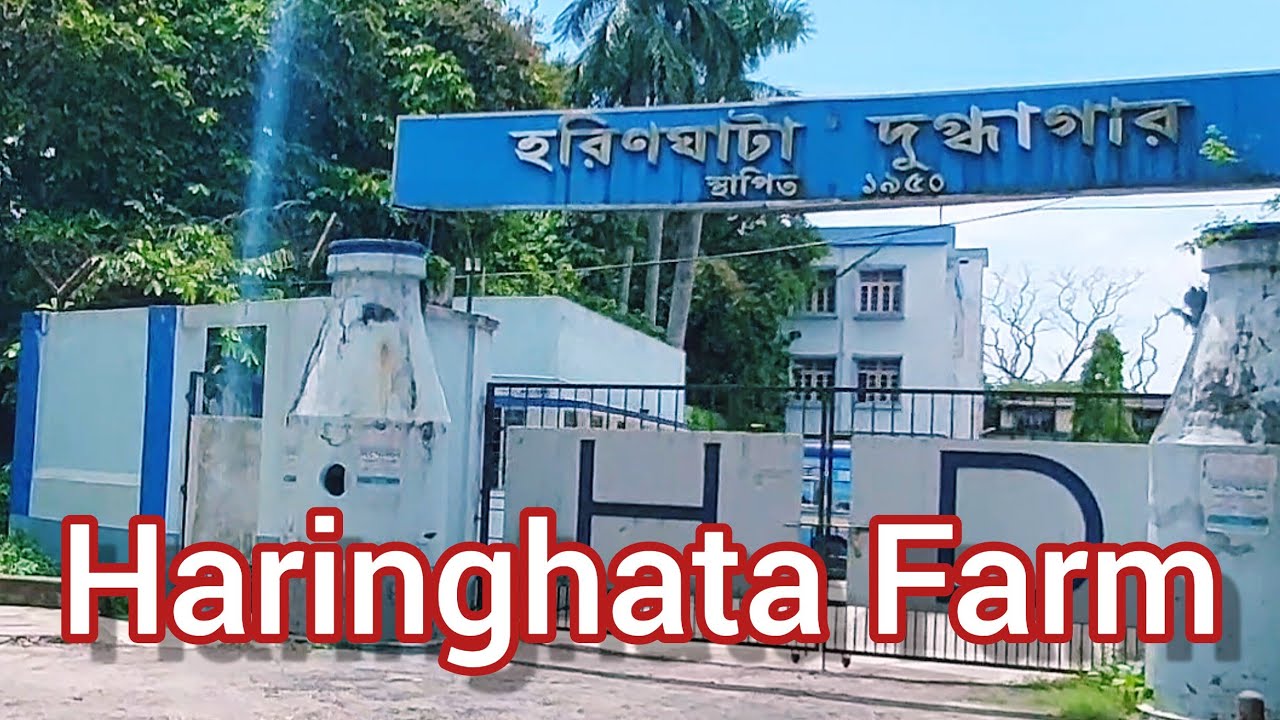 Haringhata Dairy & Haringhata Farm ll Nadia, West Bengal, Part-1 - YouTube