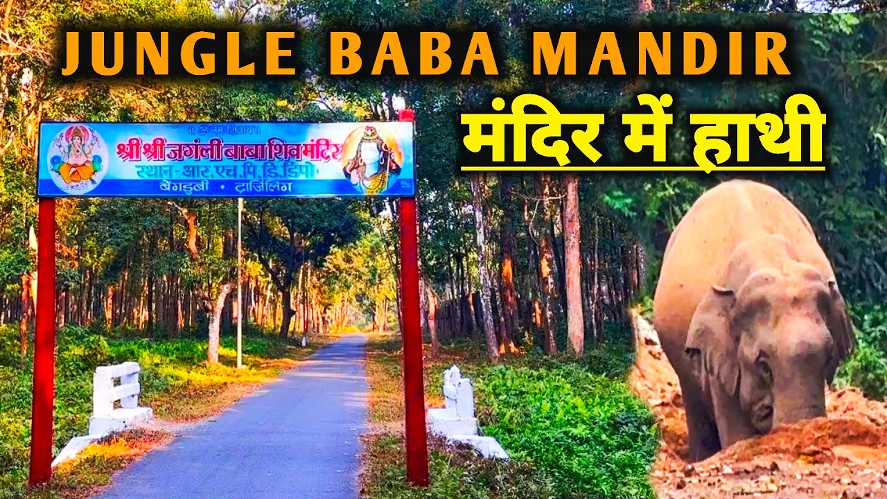 Jungle Baba Mandir | Junglee Baba Mandir Bagdogra | Bengdubi Mandir ...