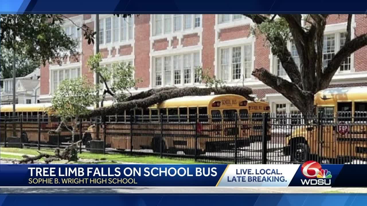 Large tree limb falls on school bus outside Sophie B. Wright High ...