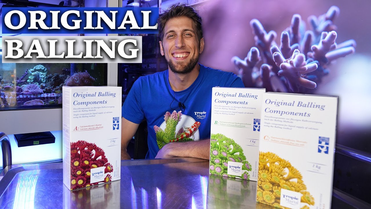 The ORIGINAL BALLING COMPONENTS - Tropic Marin - YouTube