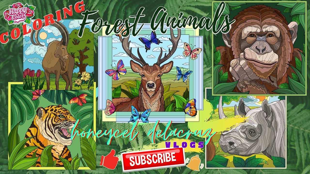 HAPPY COLORS -COLORING FOREST ANIMALS - YouTube