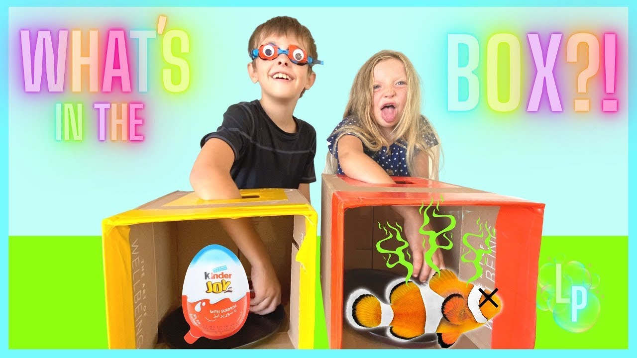 WHAT'S IN THE BOX CHALLENGE! Kids try to guess what's in the box ...