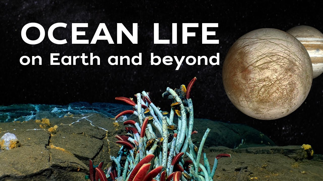 Exploring Oceans on Earth and Beyond - YouTube