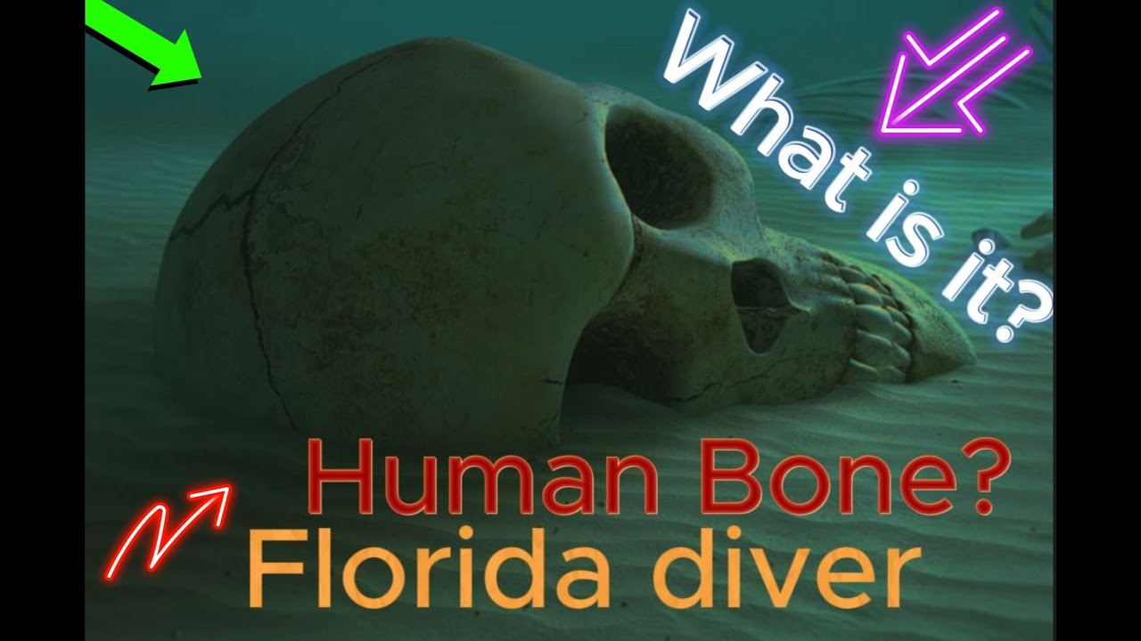 Breaking News - human bone - Diver discovery (Part 1 of 2) - YouTube